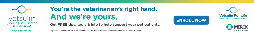 NAVTA | National Association of Veterinary Technicians in America